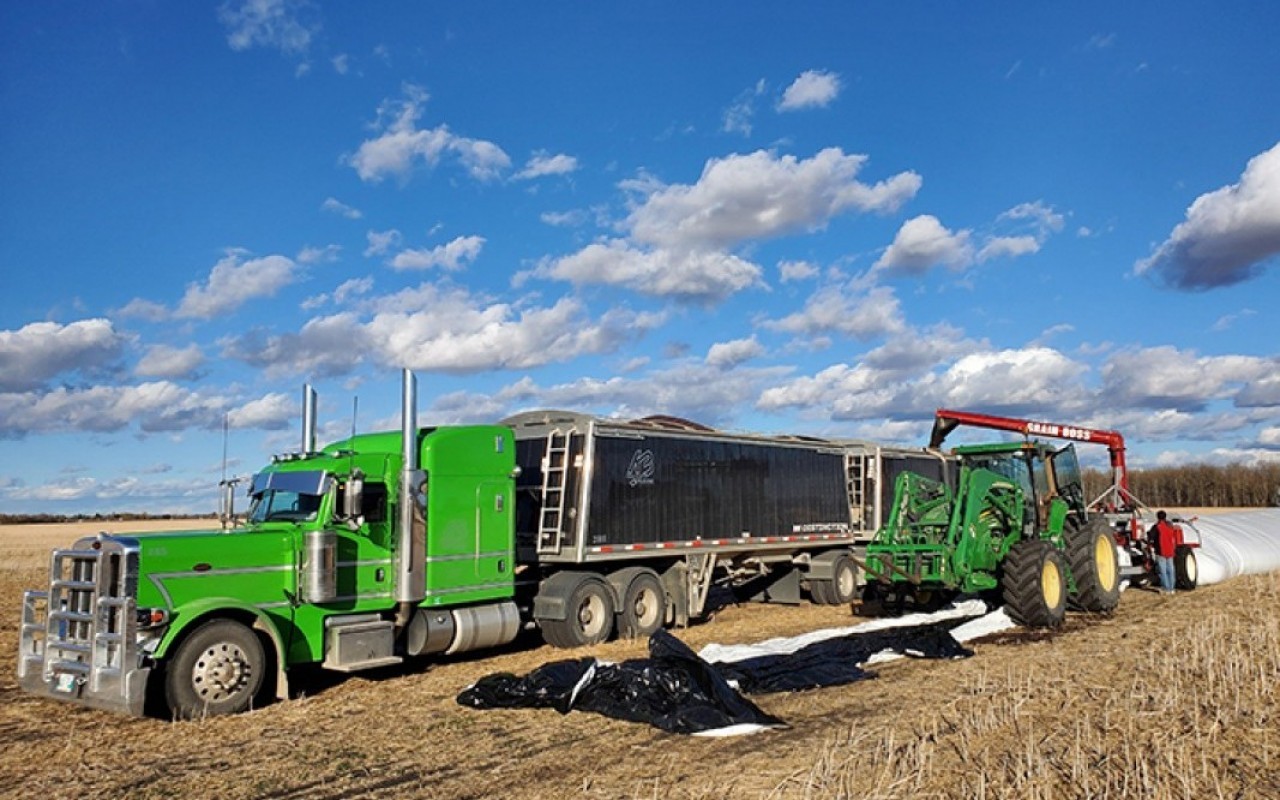 Tridekon Grain Boss Extractor | Grain Handling & Storage | Flaman ...